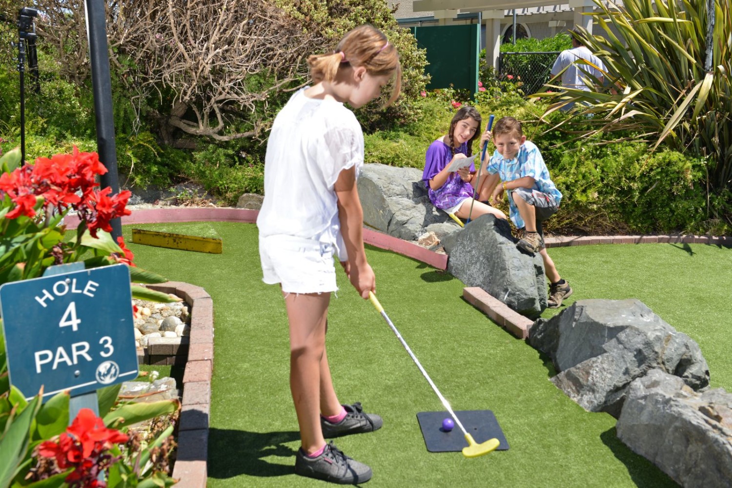 Miniature Golf - Marin County Golf